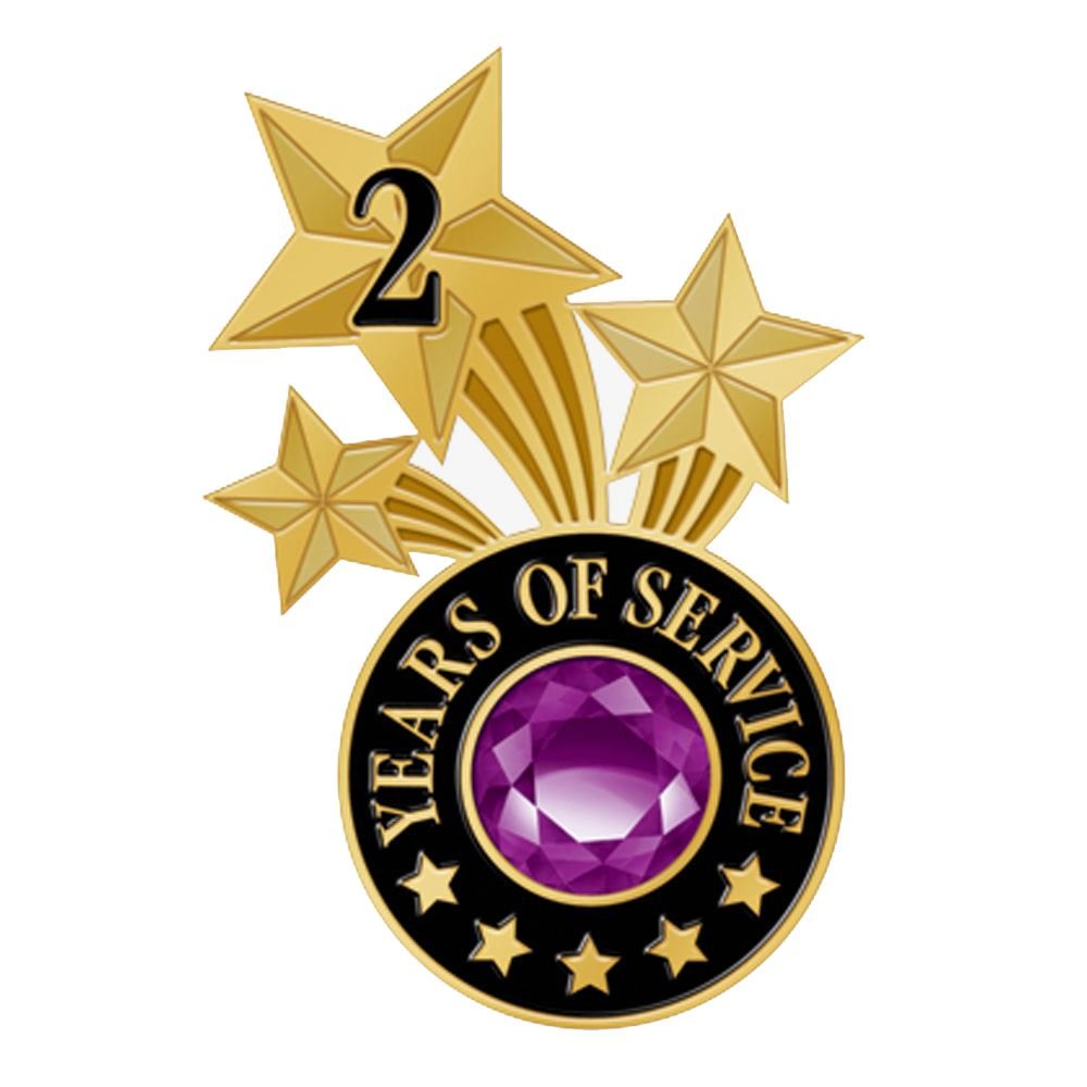 2 Years Of Service Triple Star Lapel Pin With Jewel Box | Positive ...