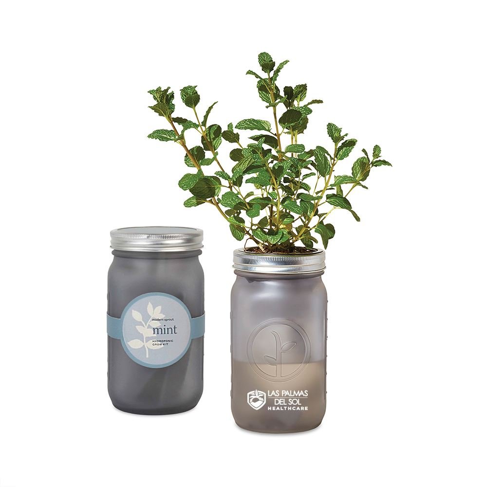 Modern Sprout Indoor Herb Garden Kit - Personalization Available ...