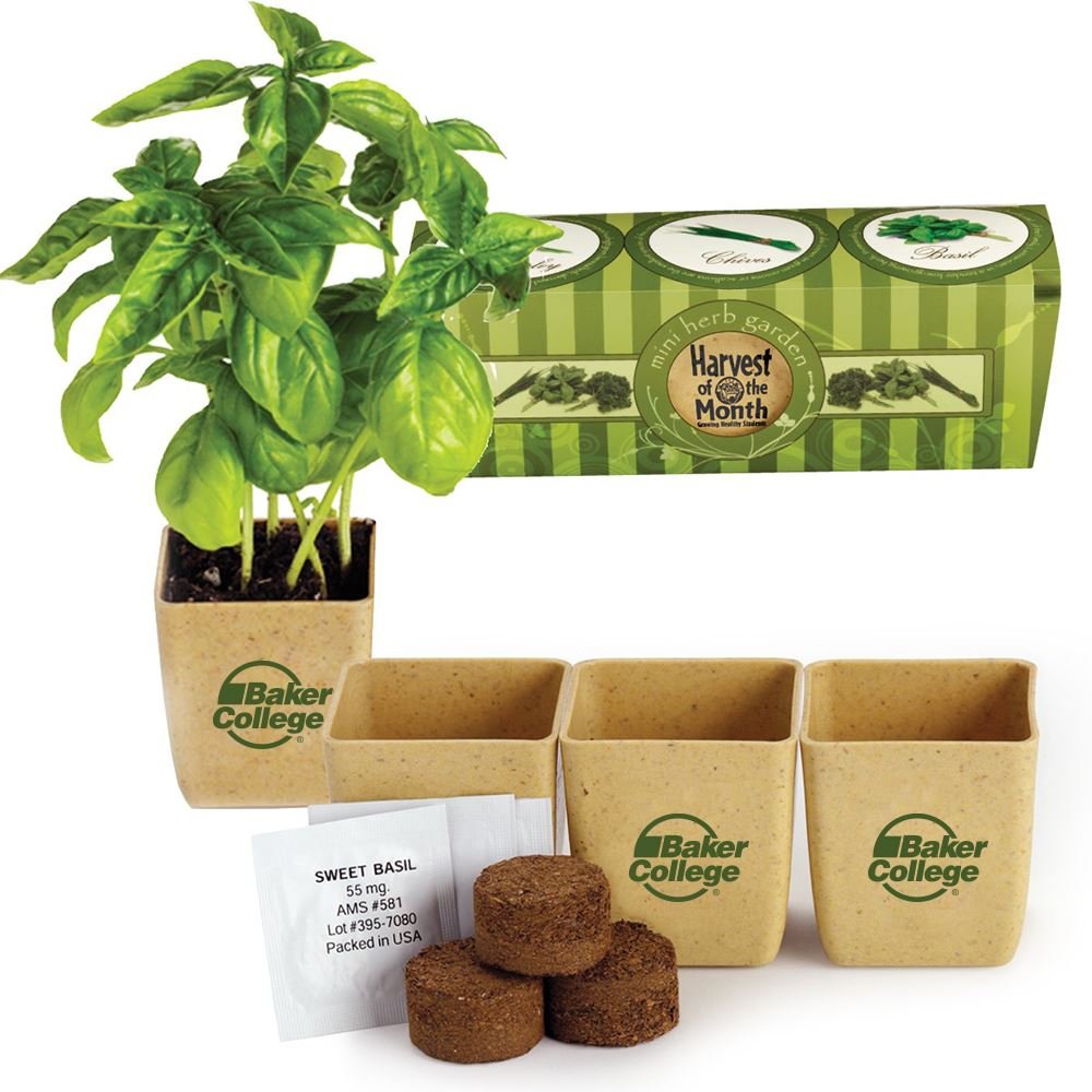 Herb Grow Kit - Personalization Available | Positive Promotions