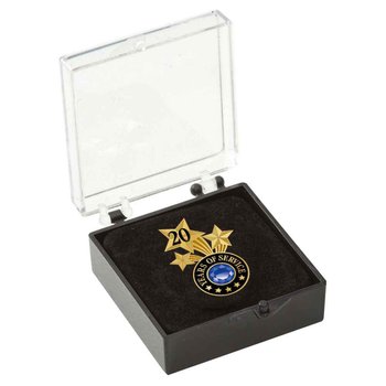 20 Years Of Service Triple Star Lapel Pin With Jewel Box | Positive ...