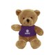 Fuzzy Friends Bear - Personalization Available | Positive Promotions