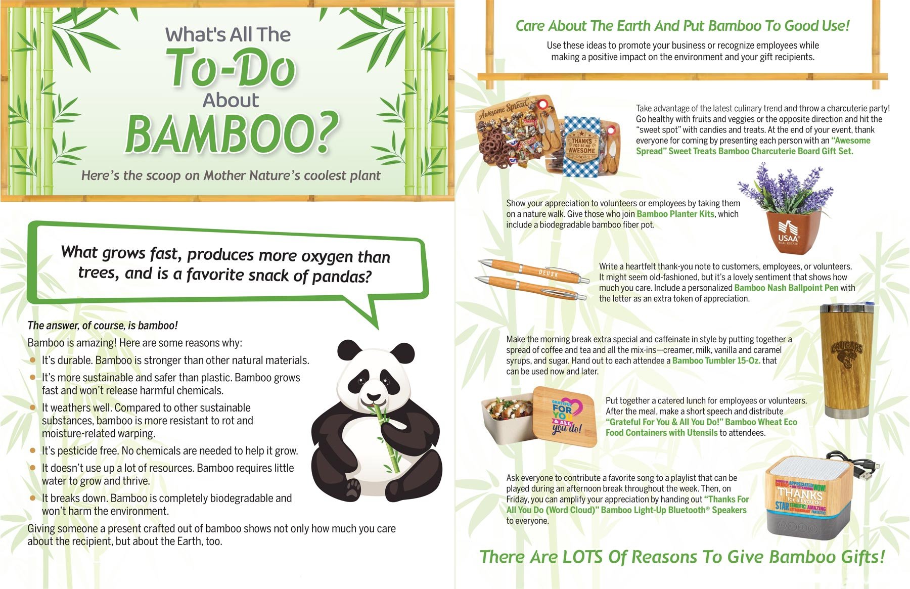 Whats-all-the-to-do-about-Bamboo